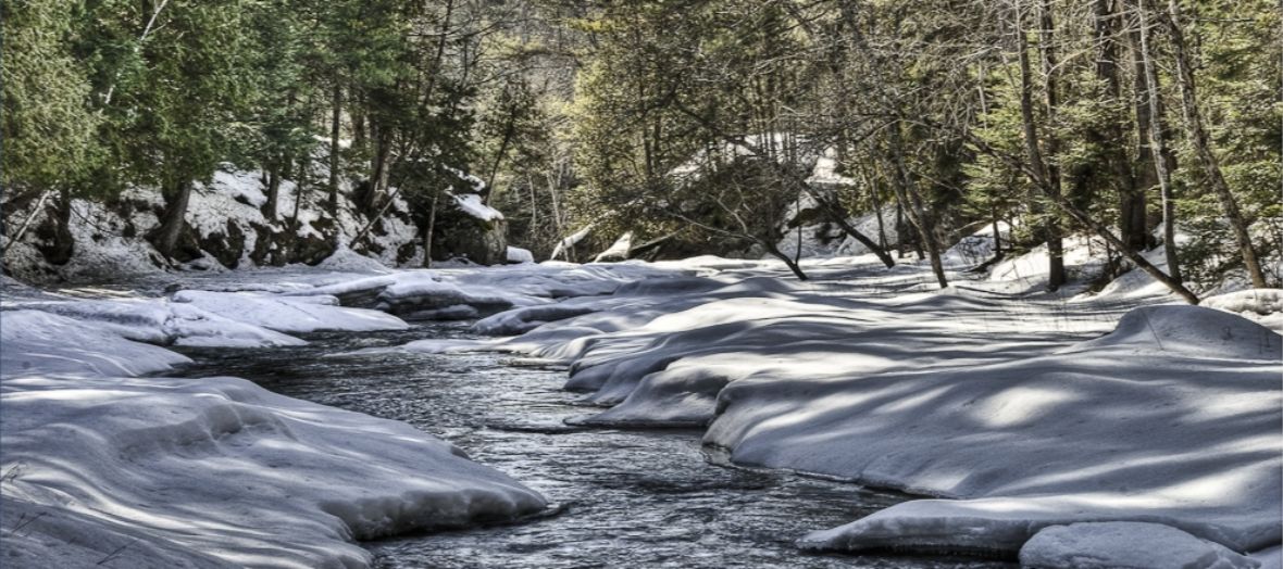 INSTREAM FLOW COUNCIL – Protecting, Maintaining, and Restoring Aquatic ...